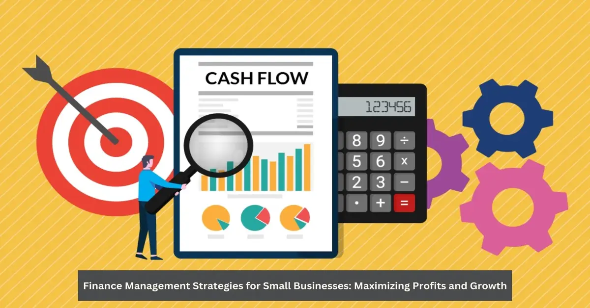 12 Effective Finance Management Strategies for Small Businesses